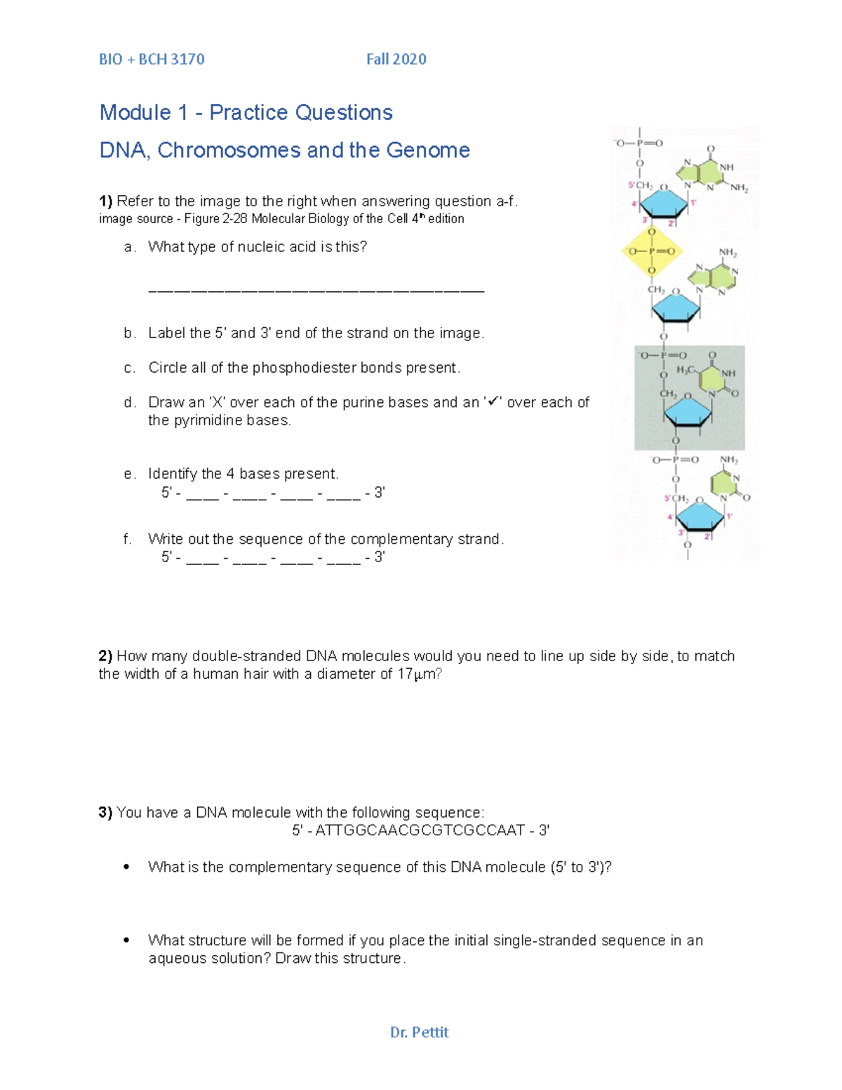 BIO+BCH3170 Module 1 Practice Problems Fall2020 - Module 1 - Practice Questions DNA, Chromosomes ...