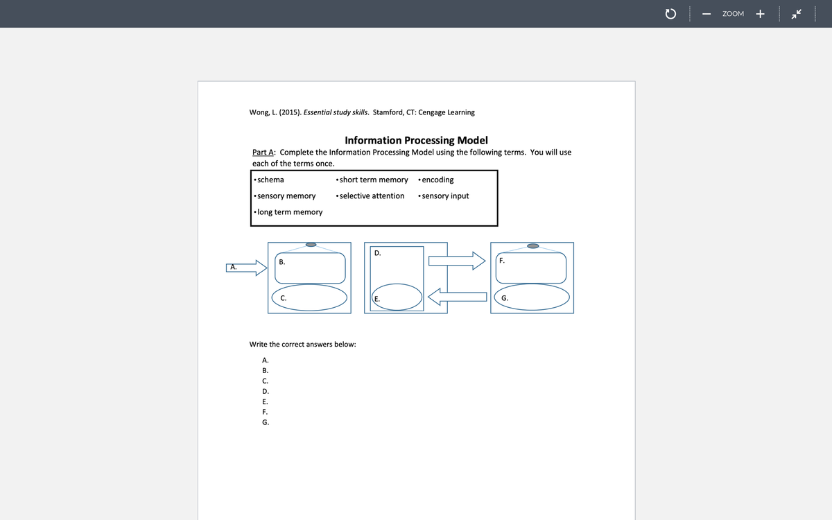Chapter 5 Activity: Information Processing Model - LSK-1023-52-202330 Assignments Chapter 5 Ac ...