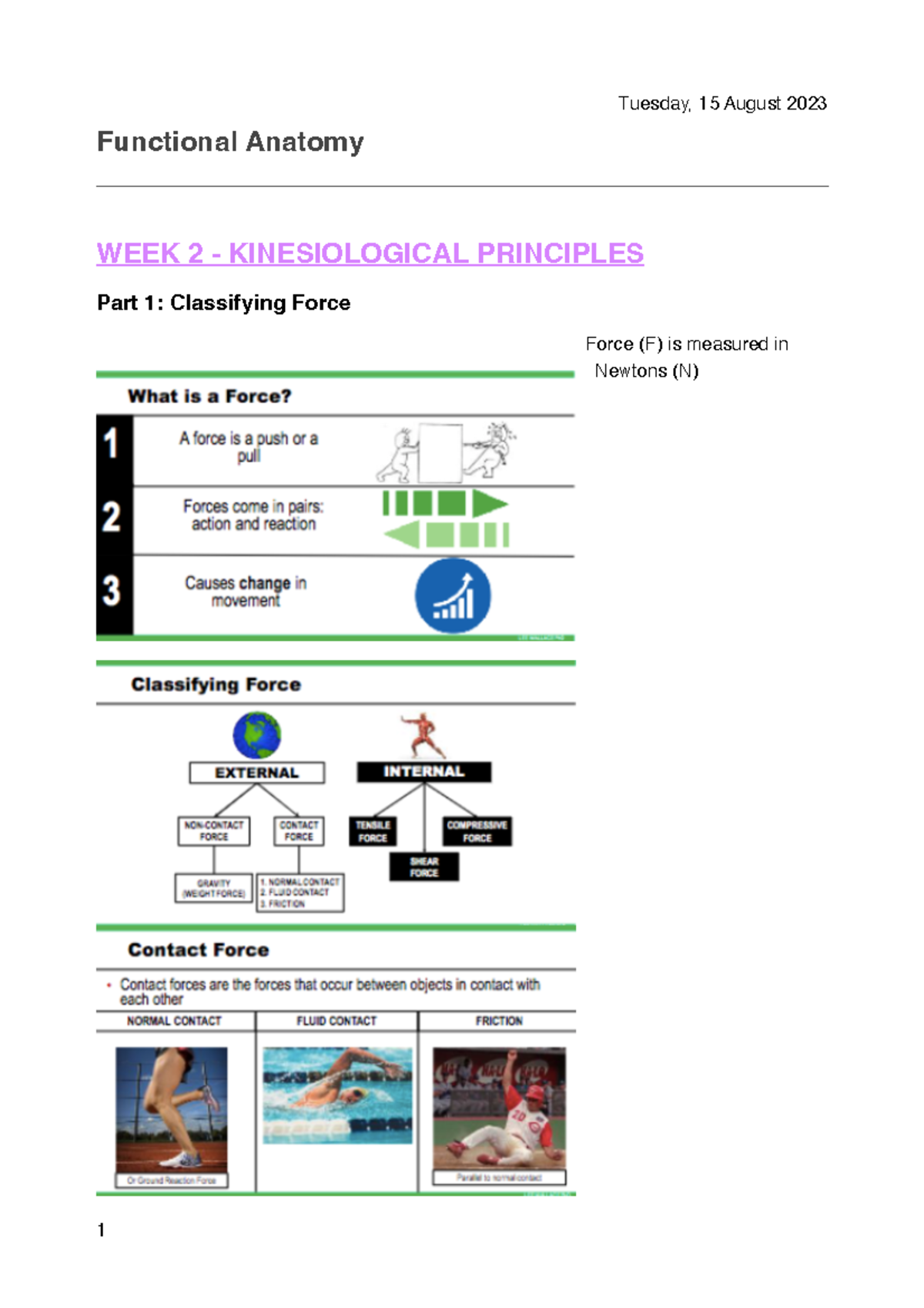 Functional Anatomy - Functional Anatomy WEEK 2 - KINESIOLOGICAL PRINCIPLES Part 1: Classifying ...