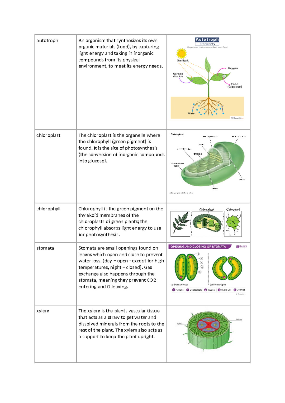 Ao S2 - chapter 5 - photosynthesis and cellular respiration - autotroph ...
