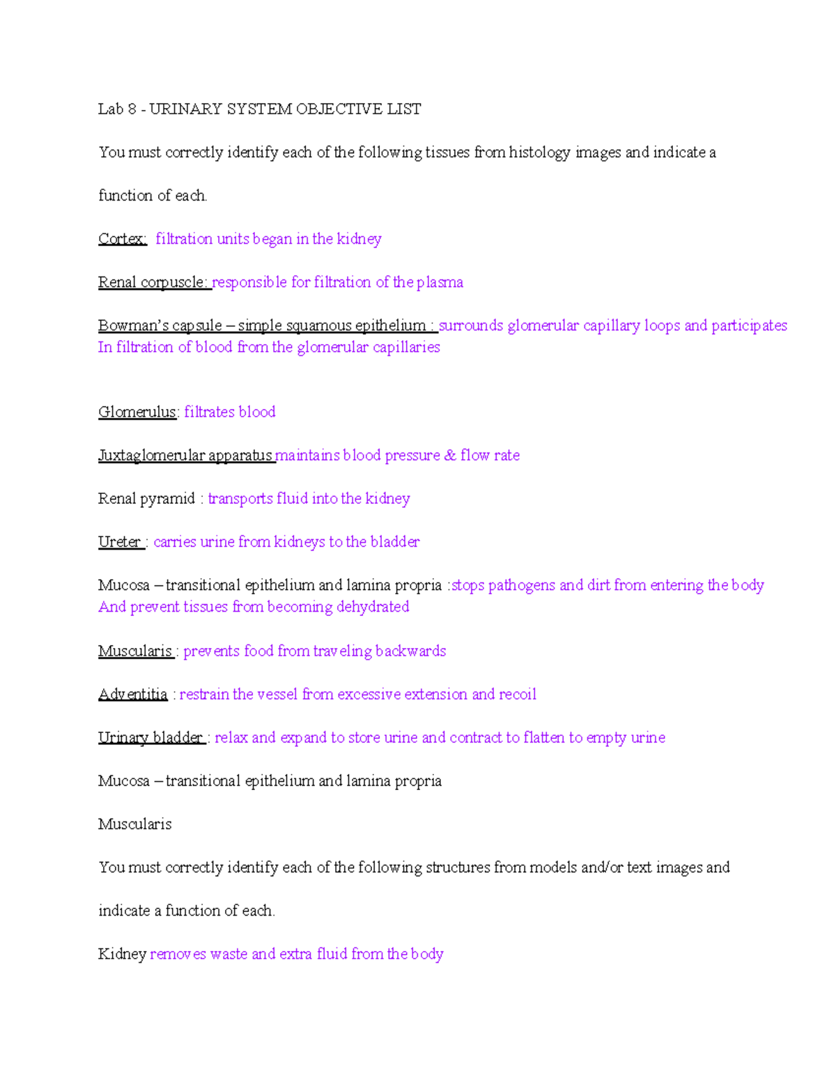 Lab 8 - Urinary System Objective LIST - Lab 8 - URINARY SYSTEM ...