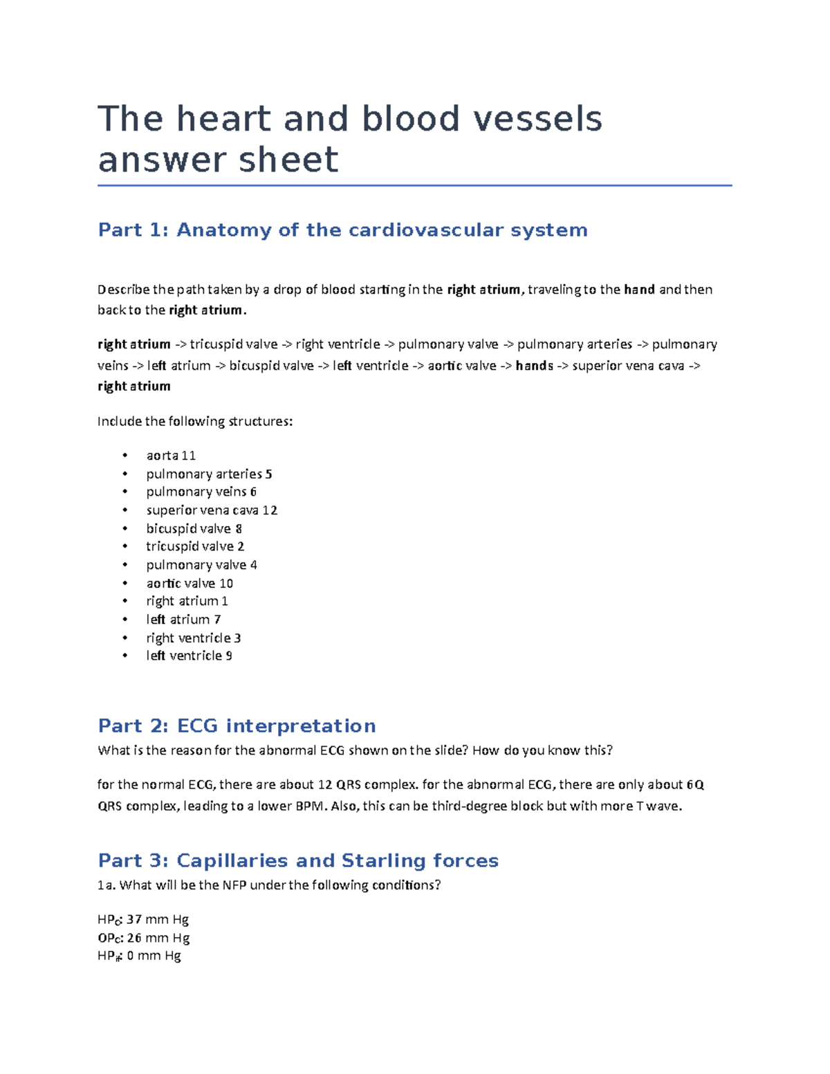 cardiovascular system recitation activity recitation worksheet - The ...