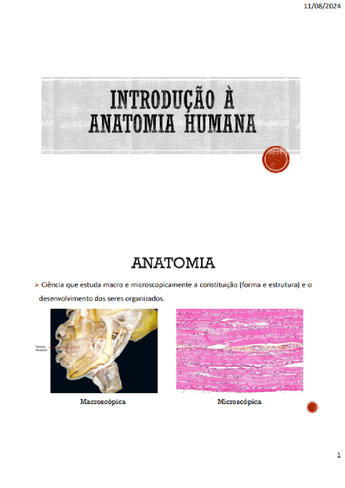 PDF Anatomia aula 1 - INTRODUÇÃO À ANATOMIA HUMANA ANATOMIA Ciência que ...
