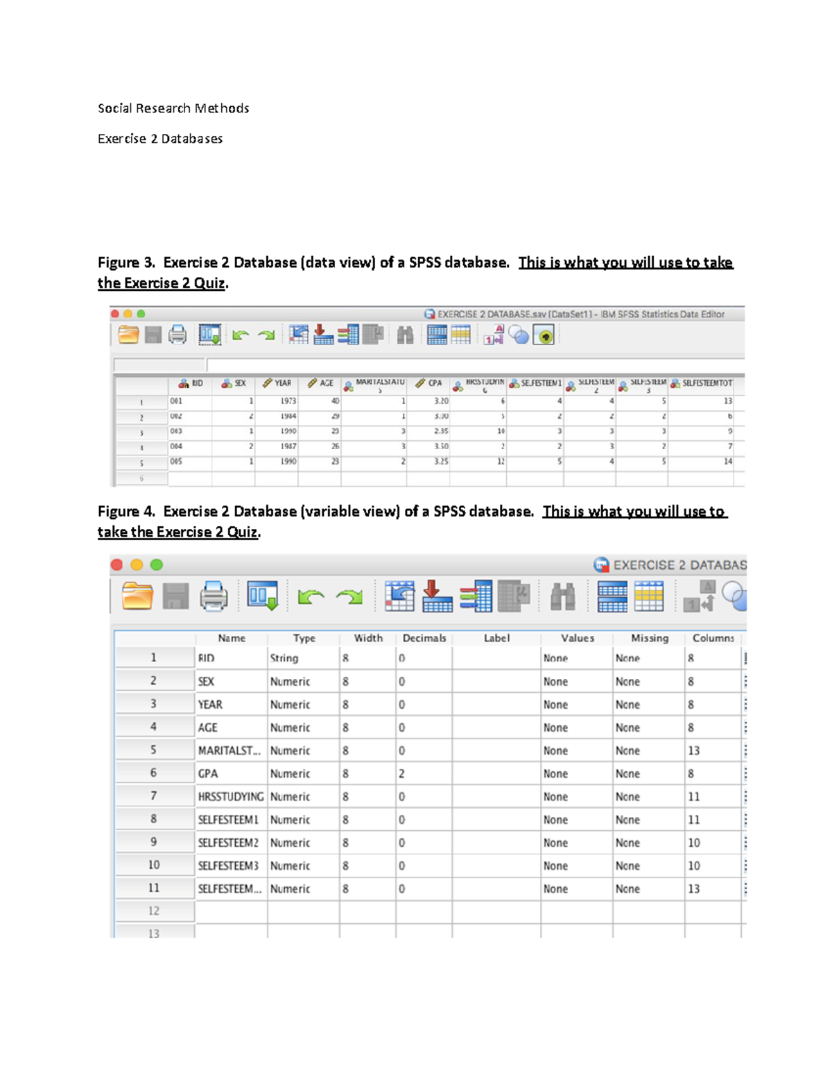 Exercise 2 Database Social Research Methods - Social Research Methods ...
