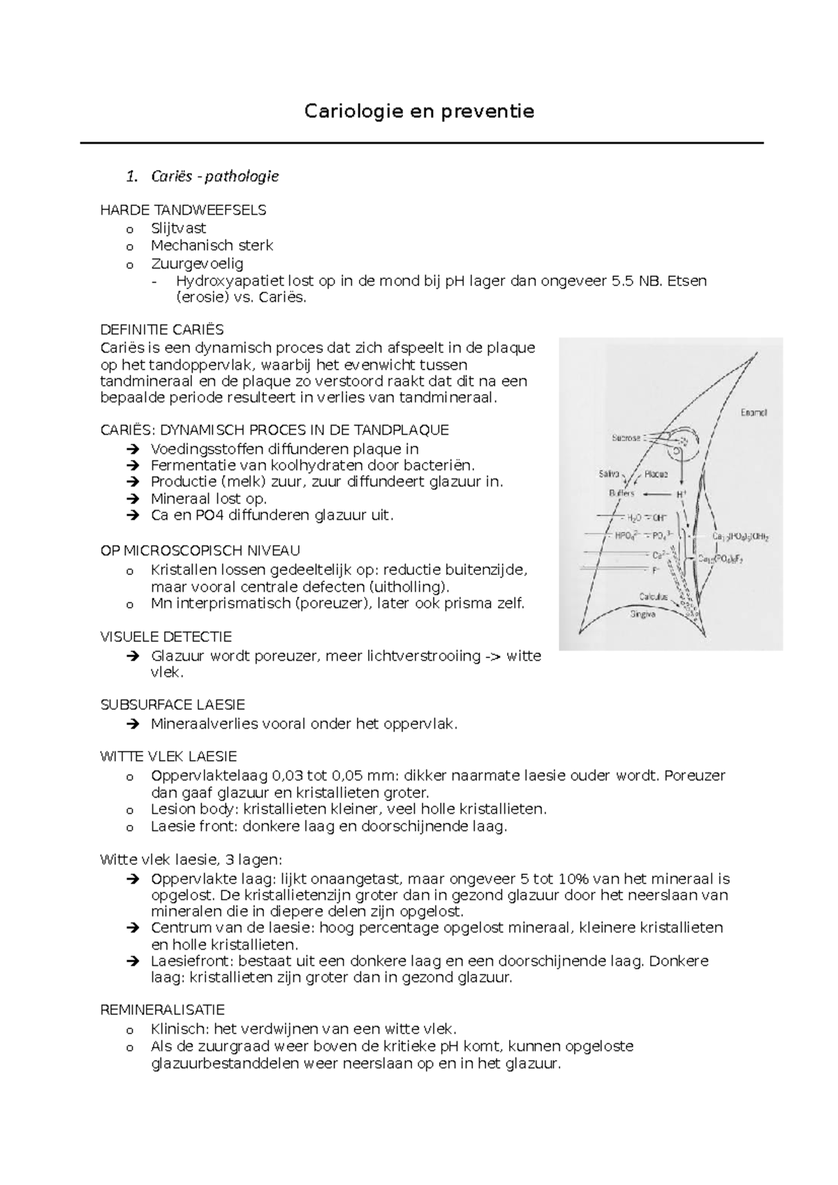 CLL Cariologie 1 - Samenvatting - Cariologie en preventie 1. Cariës ...