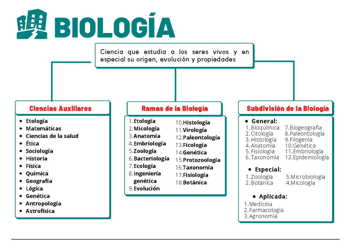Infografía Lenguaje no verbal - Contracción: Postura cabizbaja o de ...