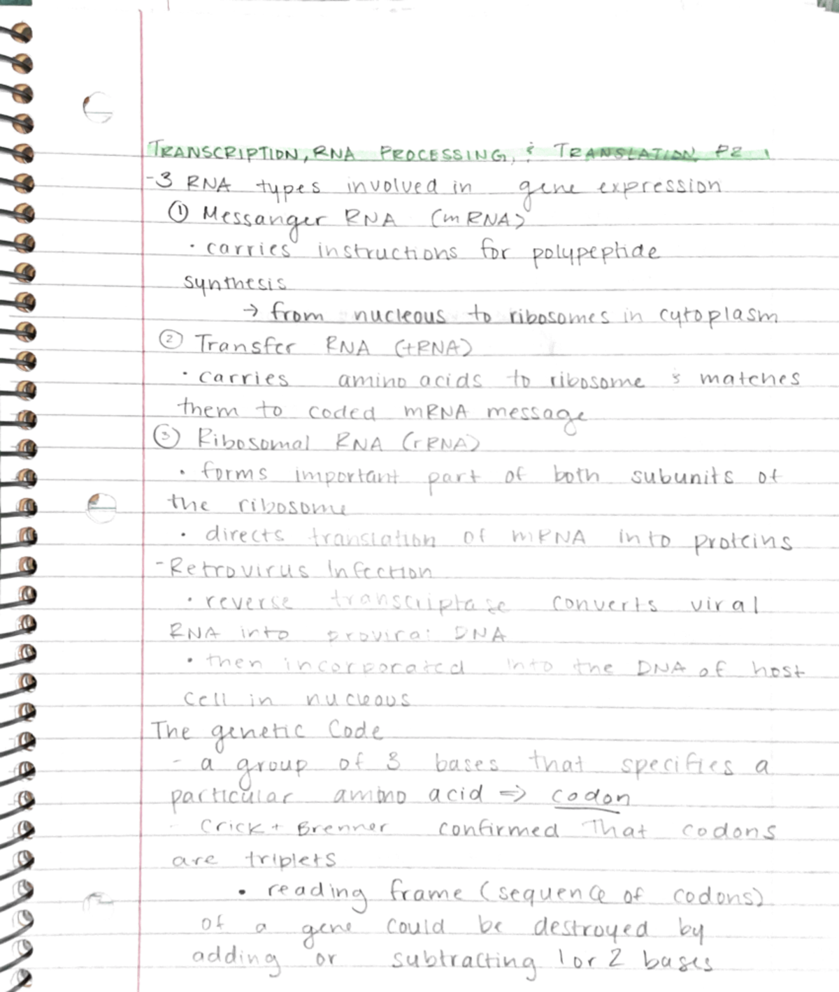 Transcription, RNA Processing, and Translation - TRANSCRIPTION, RNA ...