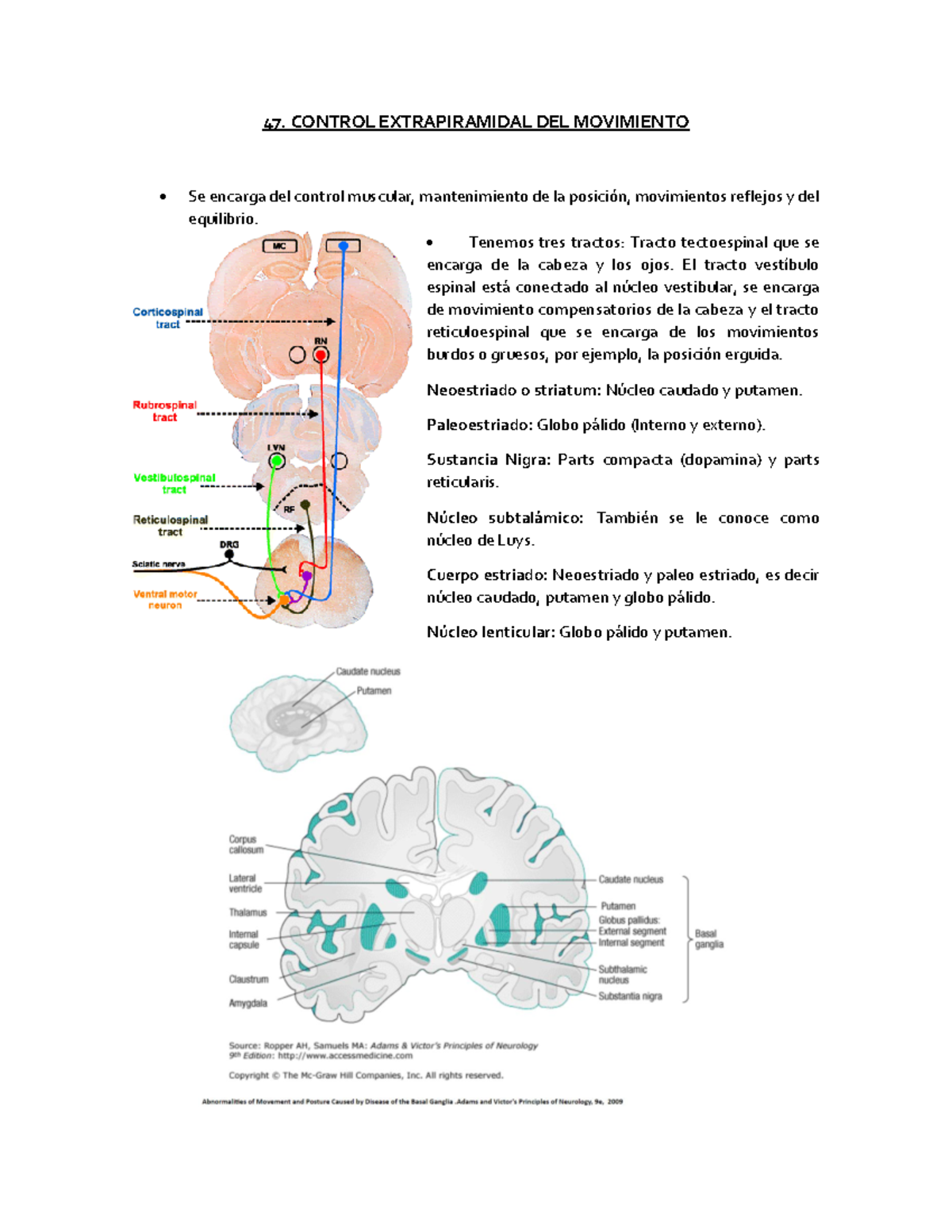 47. Vía Extrapiramidal - 47. CONTROL EXTRAPIRAMIDAL DEL MOVIMIENTO Se ...