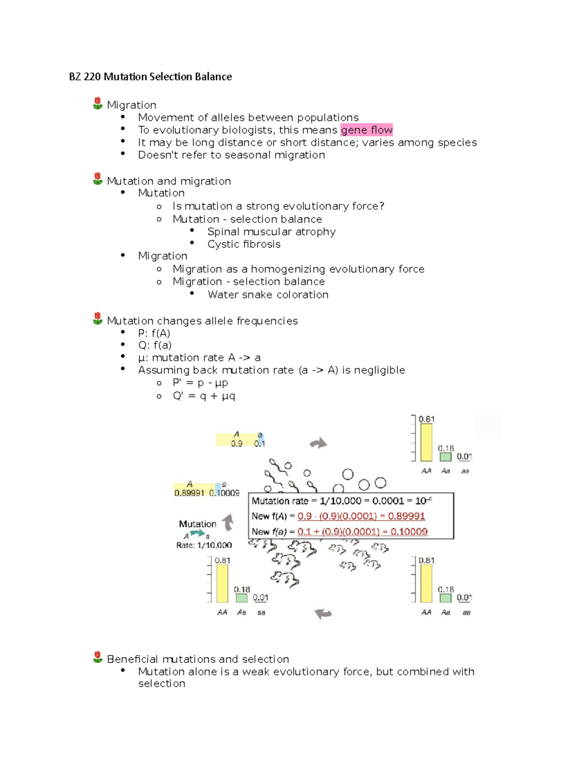 BZ 220 Mutation Selection Balance - BZ 220 Mutation Selection Balance ...