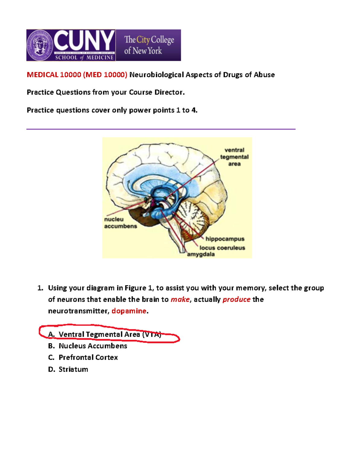 Neurobio DAA Practice questions 9 - MEDICAL 10000 (MED 10000 ...