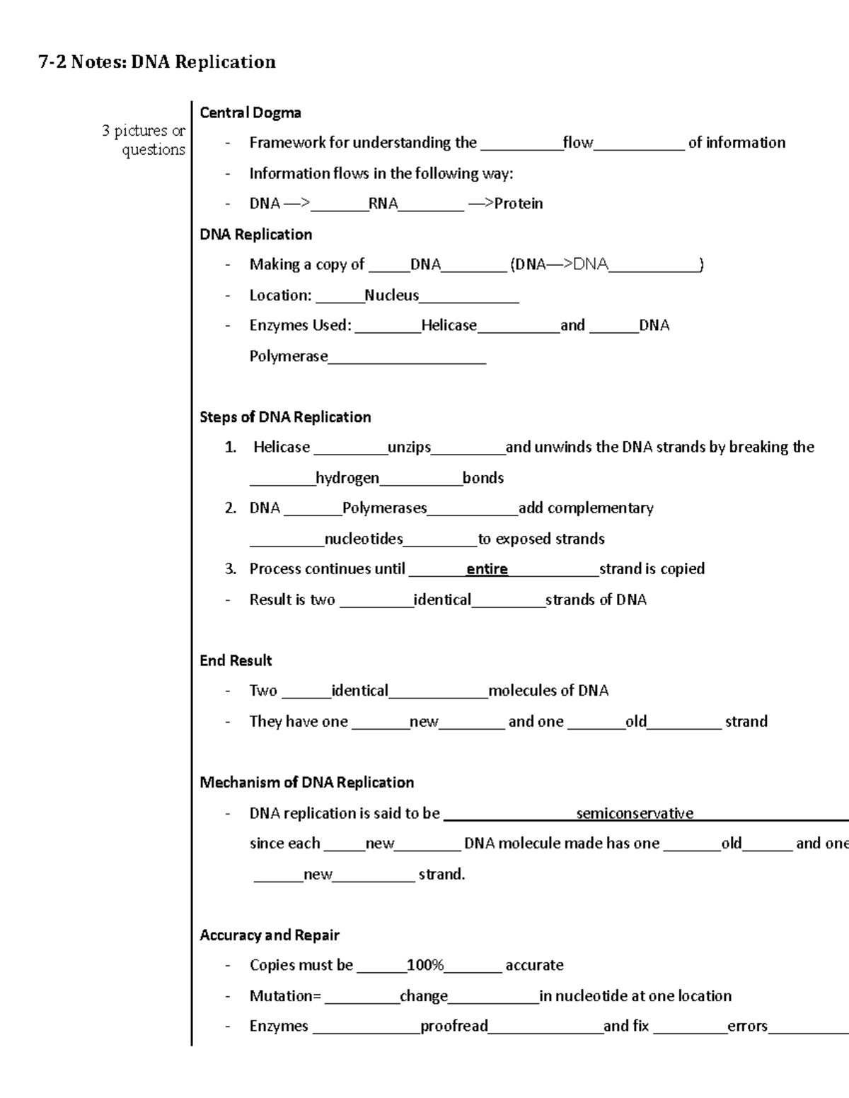 7-2 DNA Replication - 7-2 Notes: DNA Replication 3 pictures or ...