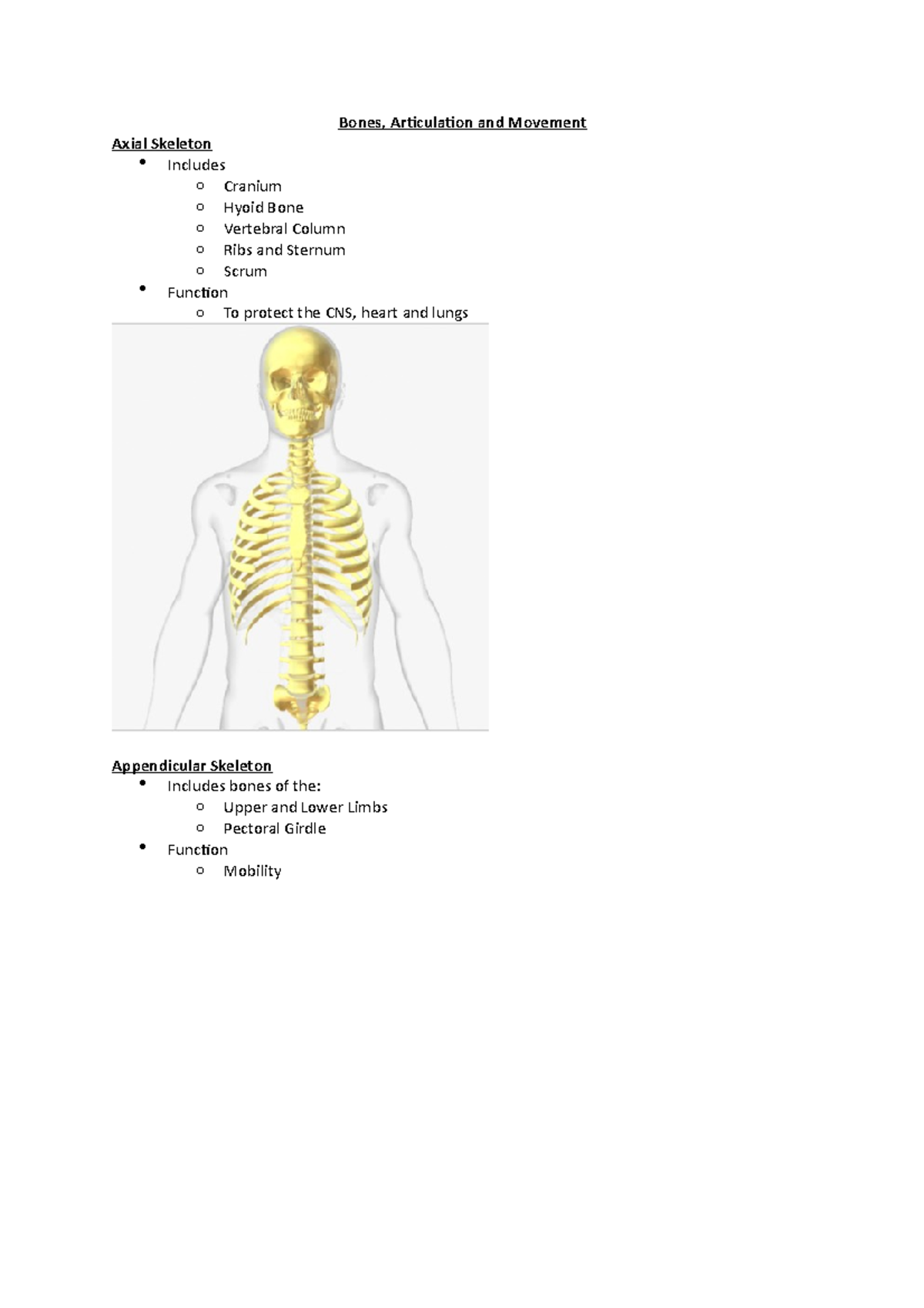 Bones Articulation and Movement - Bones, Articulation and Movement ...