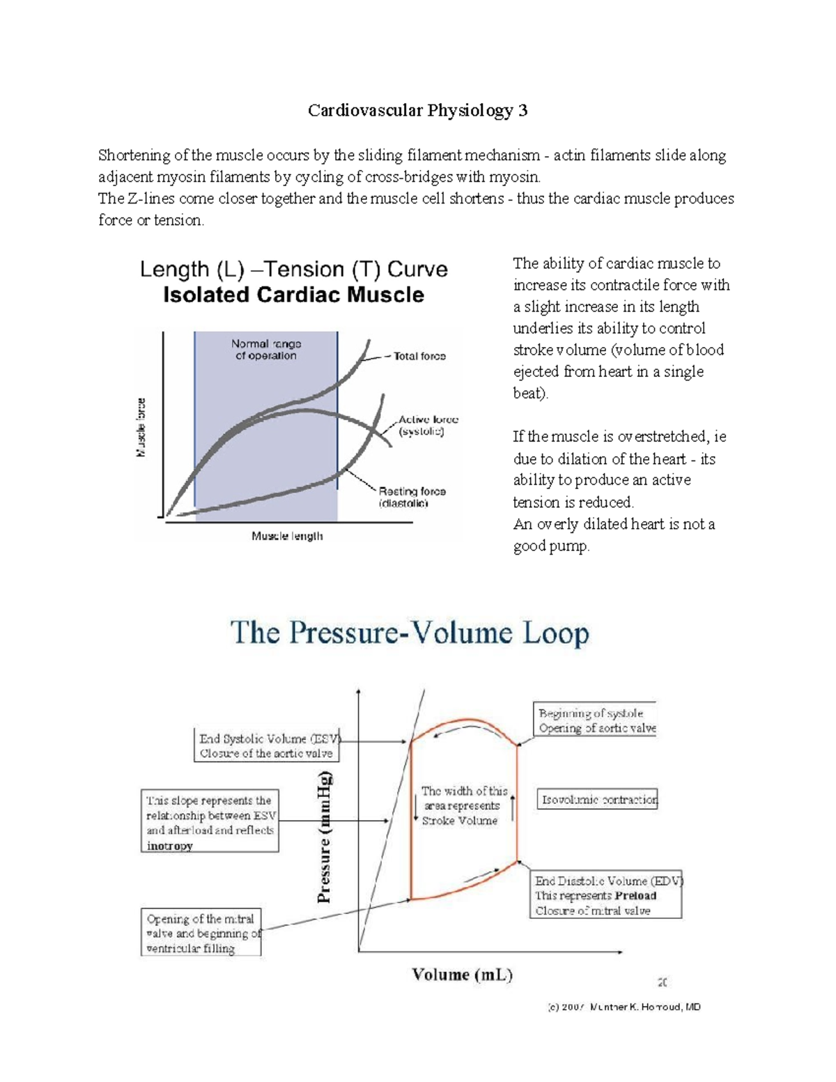 Cardiovascular Physiology 3 - The Z-lines come closer together and the ...