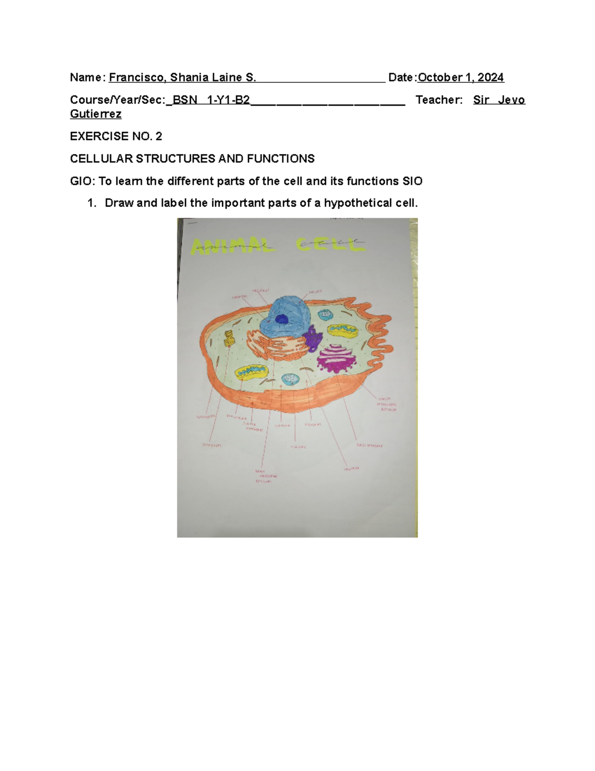 LAB Exercise Introduction to Human Anatomy and Physiology- CELL - Name ...