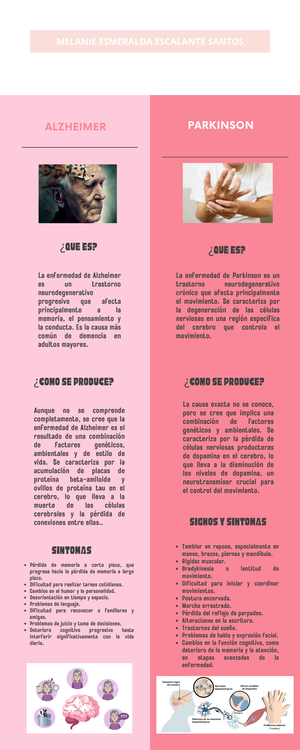 Triptico ACV y TCE - Prácticas - MELANIE ESMERALDA ESCALANTE SANTOS ACCIDENTE CEREBREVASCULAR ...