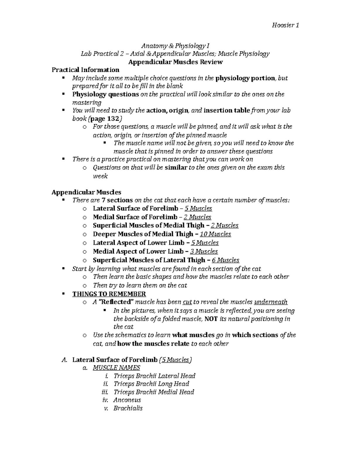 Lab Practical 2 Appendicular Muscle - Anatomy & Physiology I Lab ...