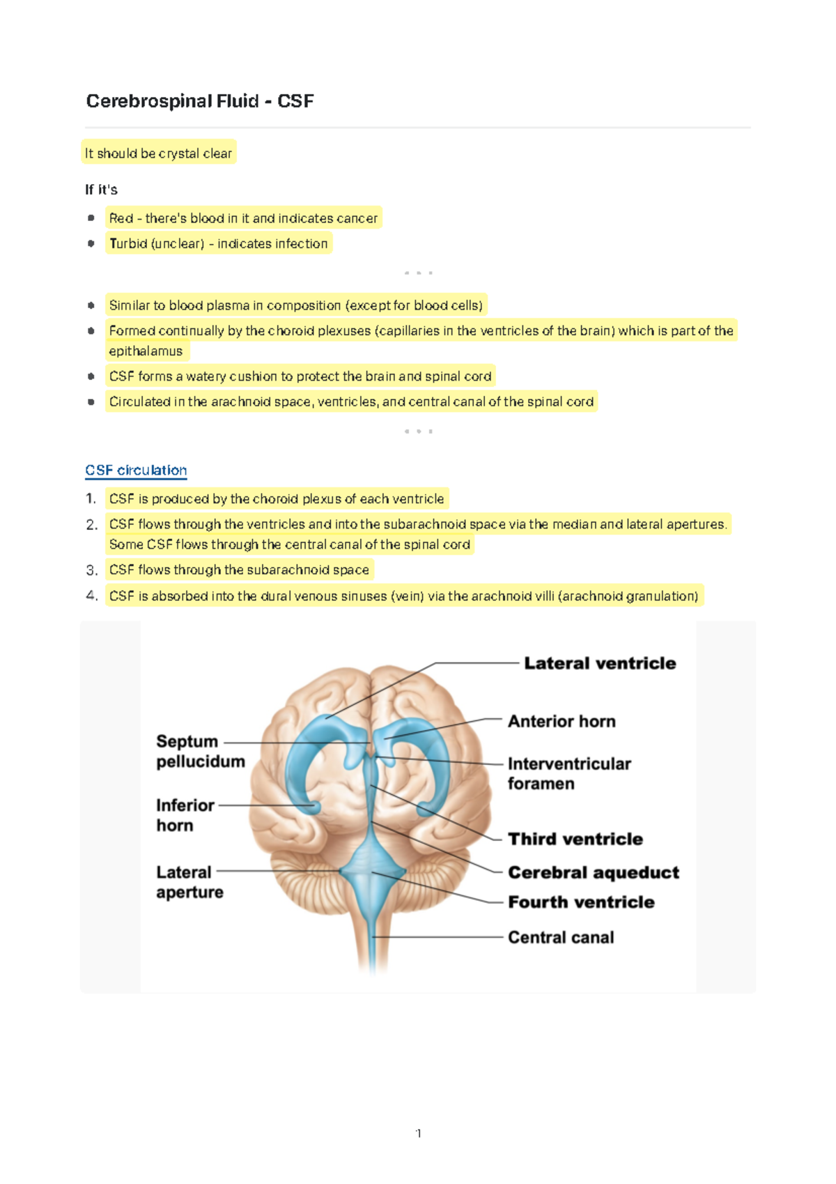 Cerebrospinal Fluid - CSF - Some CSF flows through the central canal of ...