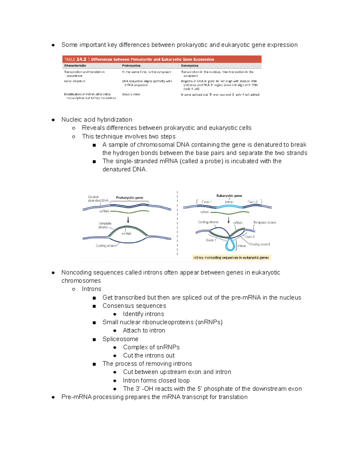 14.4 Eukaryotic Pre-m RNA Transcripts are Processed prior to ...