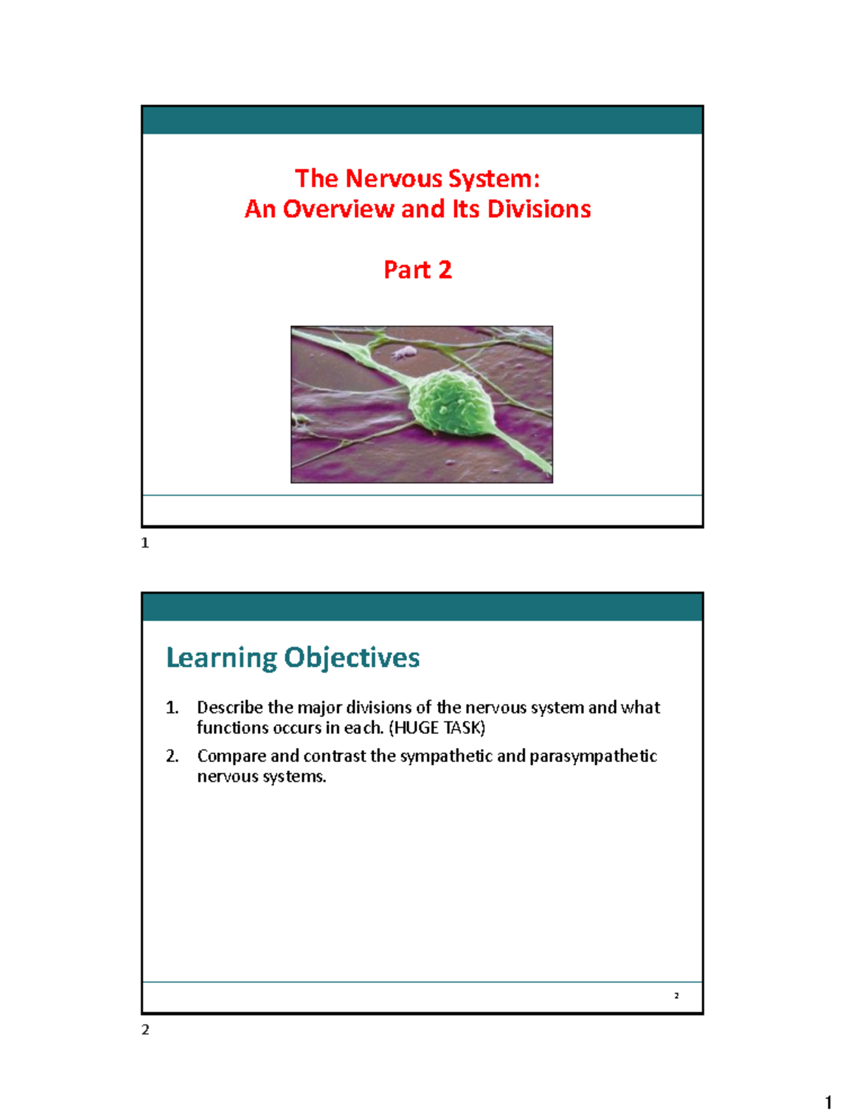 5. Nervous System - Part 2 - The Nervous System: An Overview and Its ...