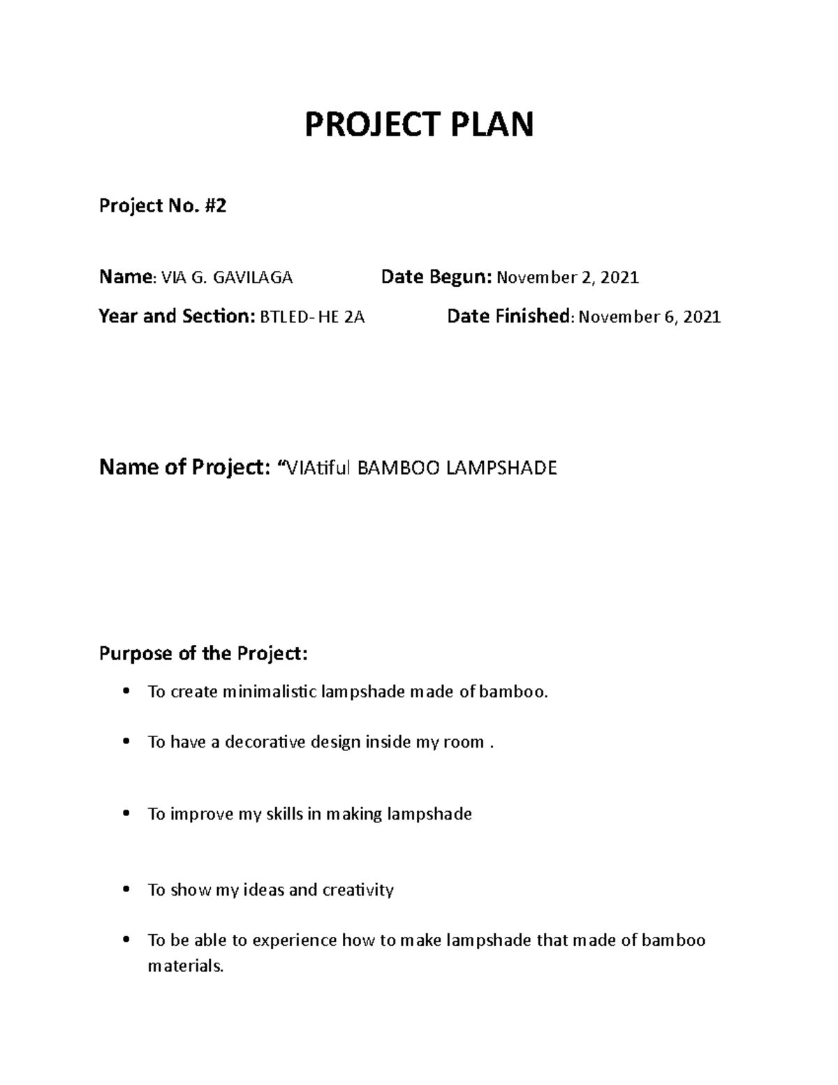 Bamboo lampshade project plan - PROJECT PLAN Project No. Name: VIA G ...