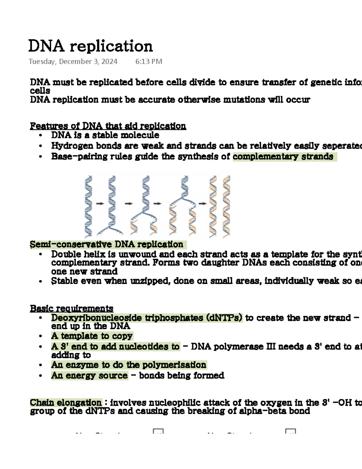Lecture 2 -DNA replication - DNA must be replicated before cells divide ...