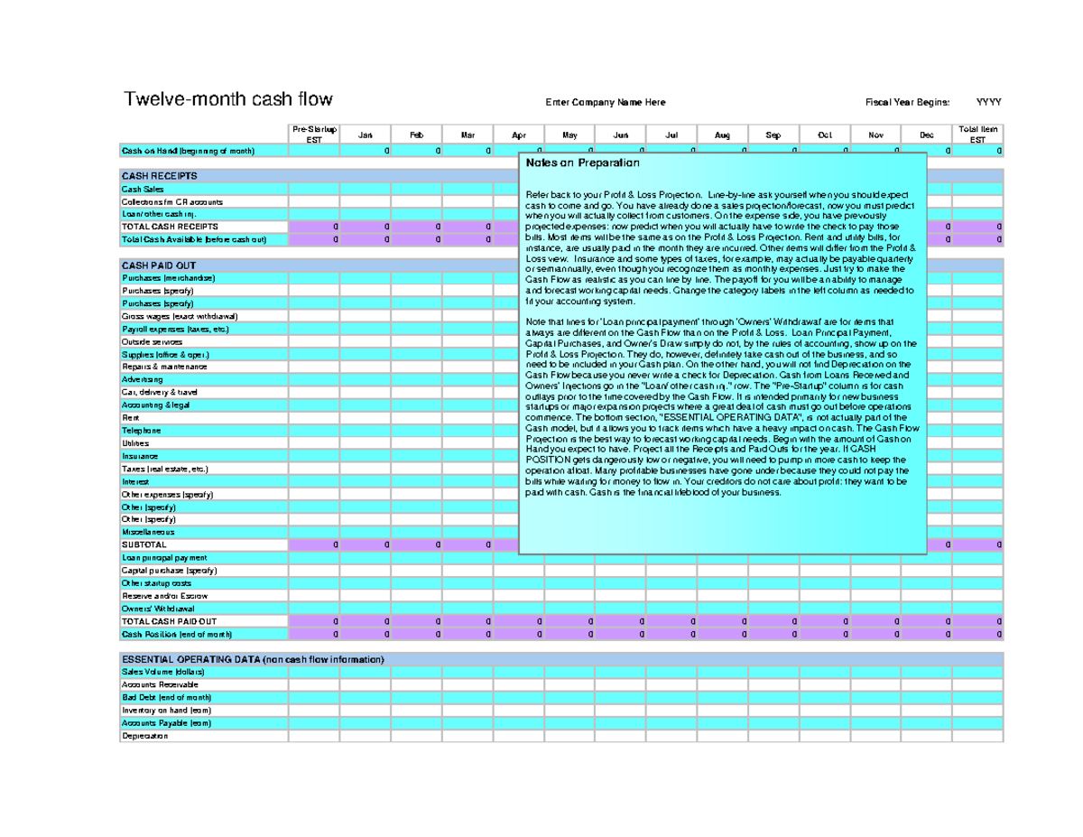 Appendix B - Cash Flow Statement - Twelve-month cash flow Enter Company ...