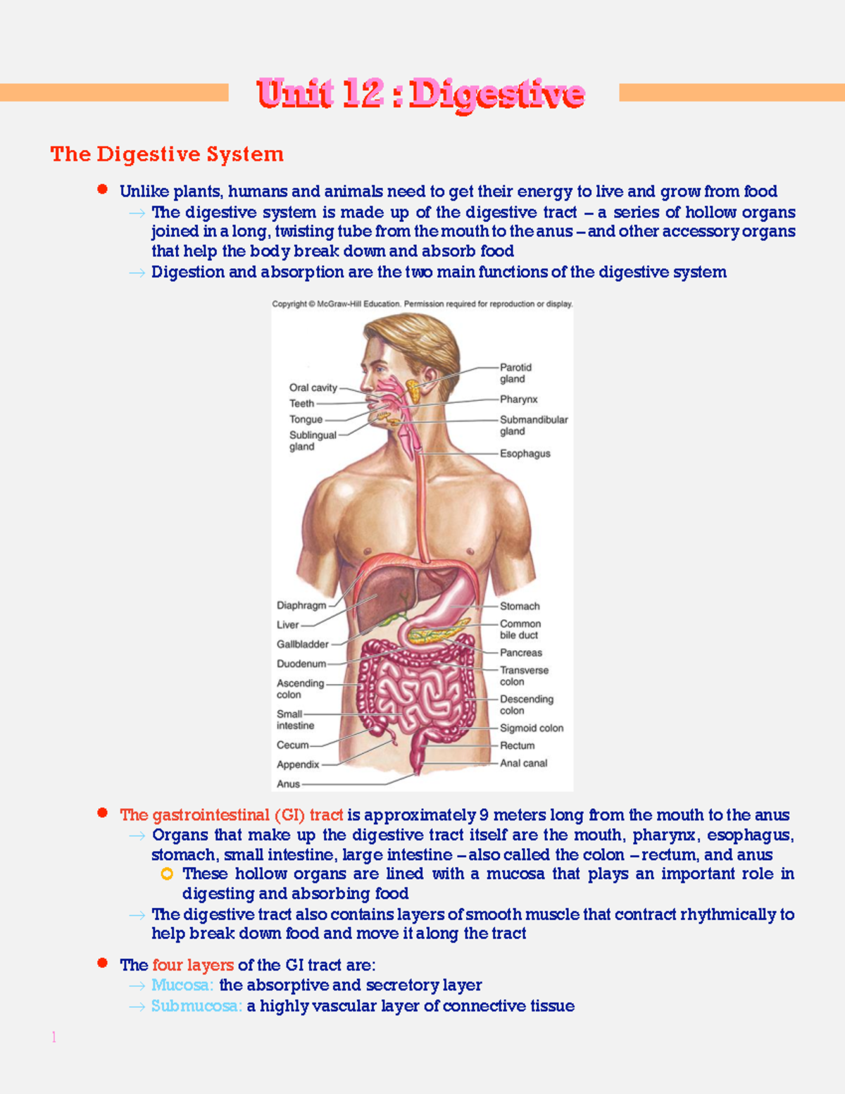 Unit 12 - Digestive - Unit 12 : Digestive The Digestive System • Unlike ...