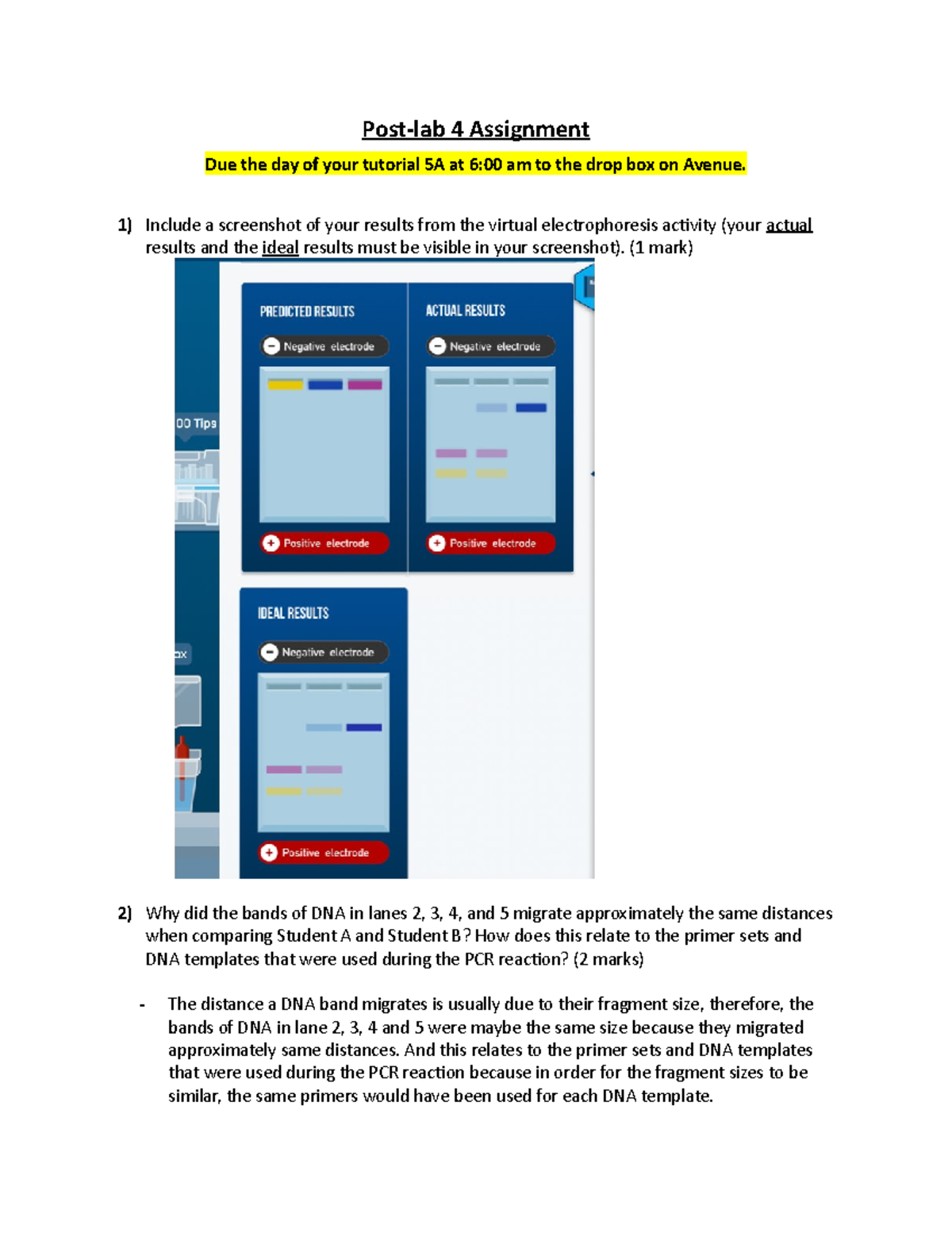 Post-lab 4 Assignment W2022 - Post-lab 4 Assignment Due the day of your tutorial 5A at 6:00 am ...