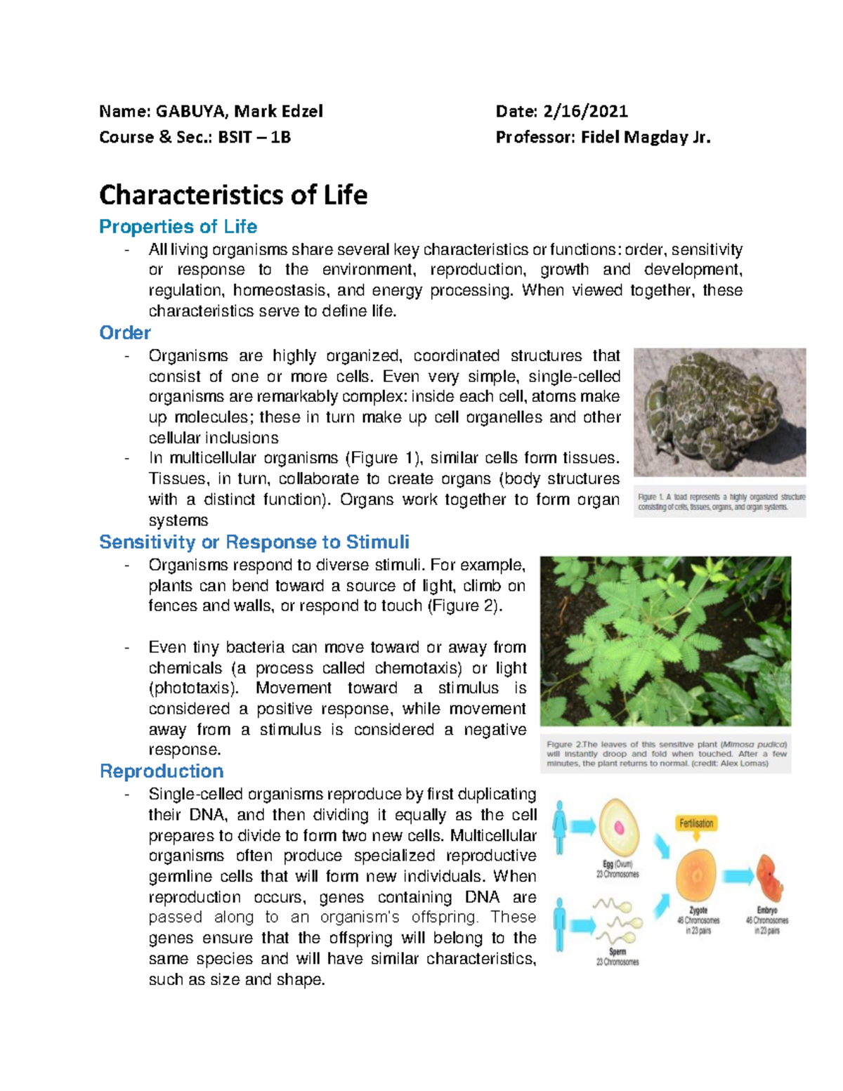 Gabuya,Mark Edzel(Assignment 1) - Name: GABUYA, Mark Edzel Date: 2/16 ...