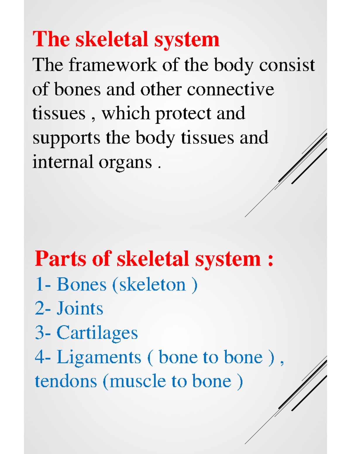 The skeletal system - Biomedical Engineering - The skeletal system The ...