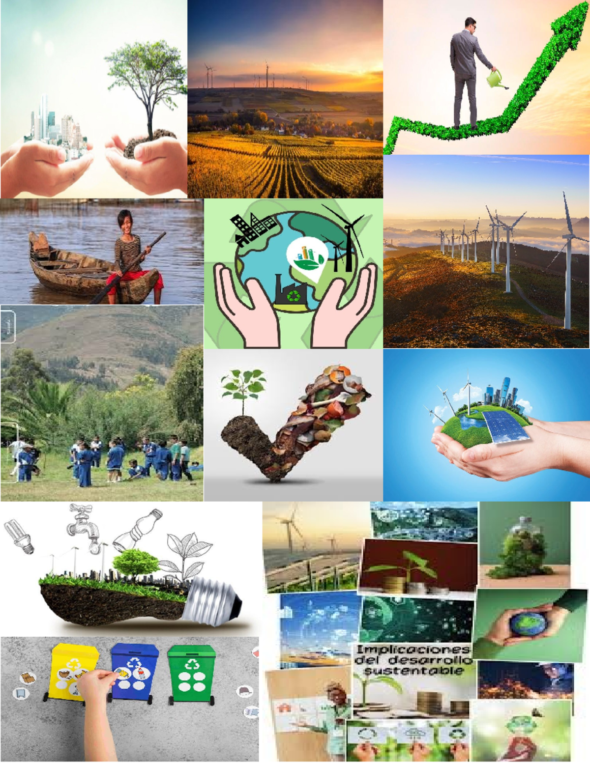 Collage de ecologia - Tópico de sociología - Studocu
