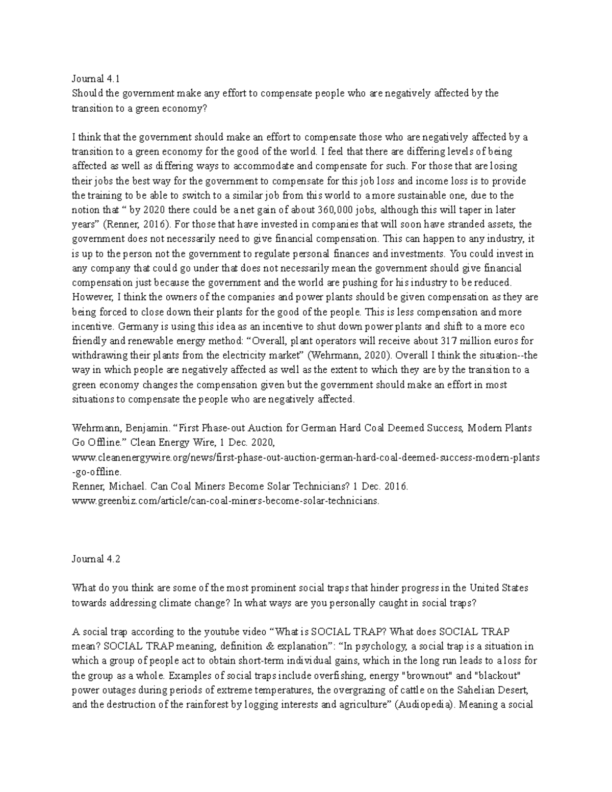 Module 4 Lecture Notes And Assignment Journal 4 Should The Government Make Any Effort To 