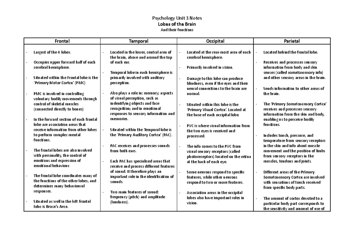 PSY102 Class Activity 'THE Brain' Workshop - Psychology Unit 3 Notes ...