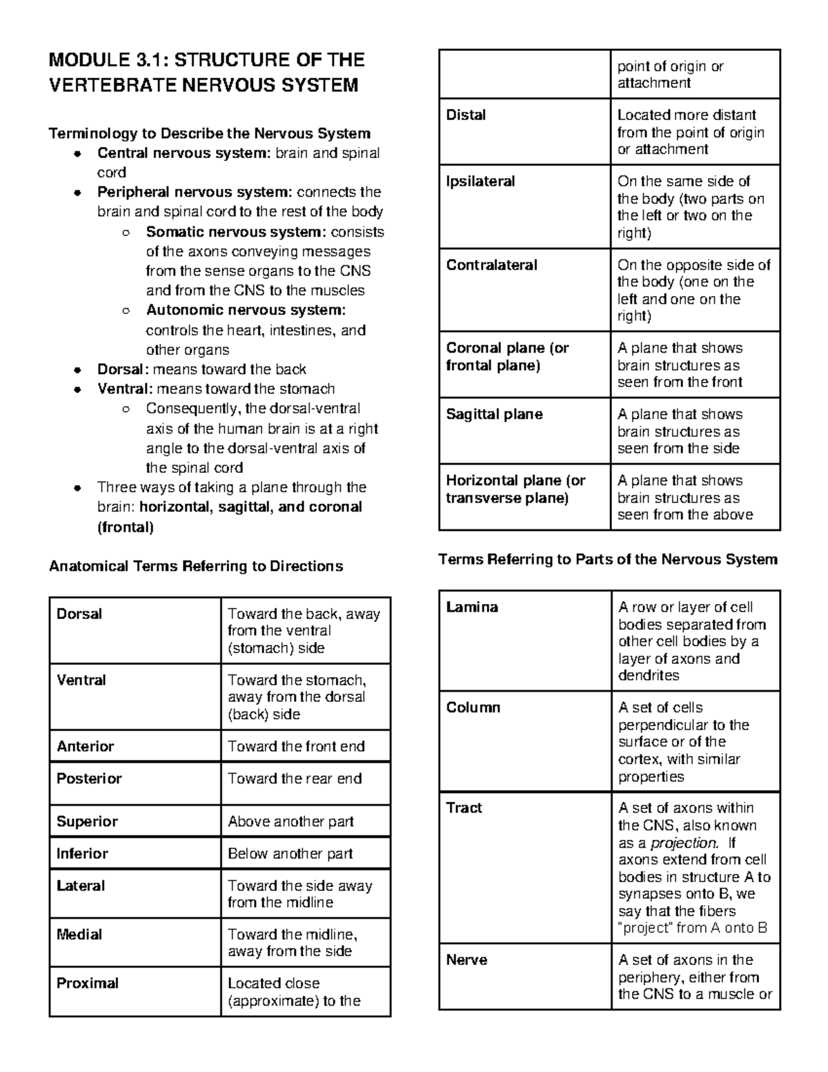 BIO PSY notes - MODULE 3: STRUCTURE OF THE VERTEBRATE NERVOUS SYSTEM ...