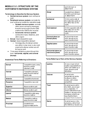 CO Q4 AP8 Module 1 Unang Digmaang Pandaigdig - 8 Araling Panlipunan ...