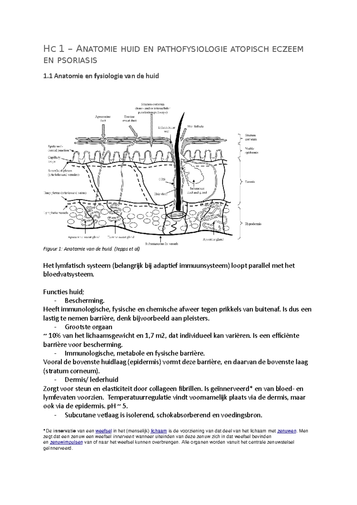 Hc 1 – Anatomie huid en pathofysiologie atopisch eczeem en psoriasis ...