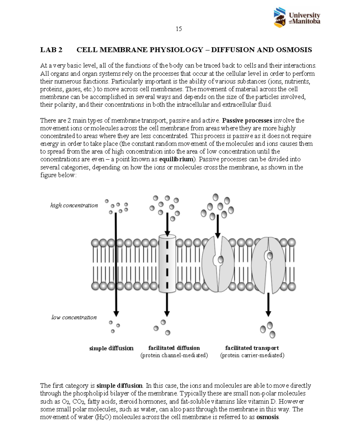 Lab 2 - Lab work will be doing during class - LAB 2 CELL MEMBRANE ...