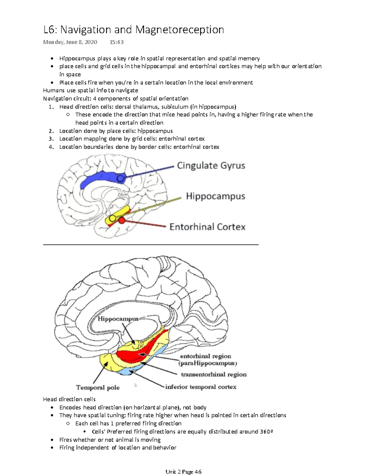 Unit 2 Lecture 6 Magnetoreception - Hippocampus plays a key role in spatial representation and ...