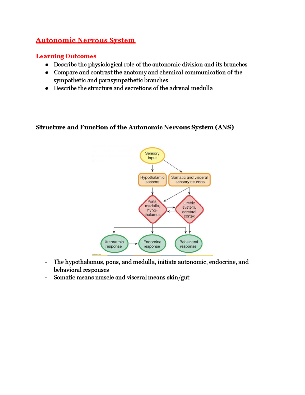 Autonomic Nervous System - Preservation of fitness of the internal ...