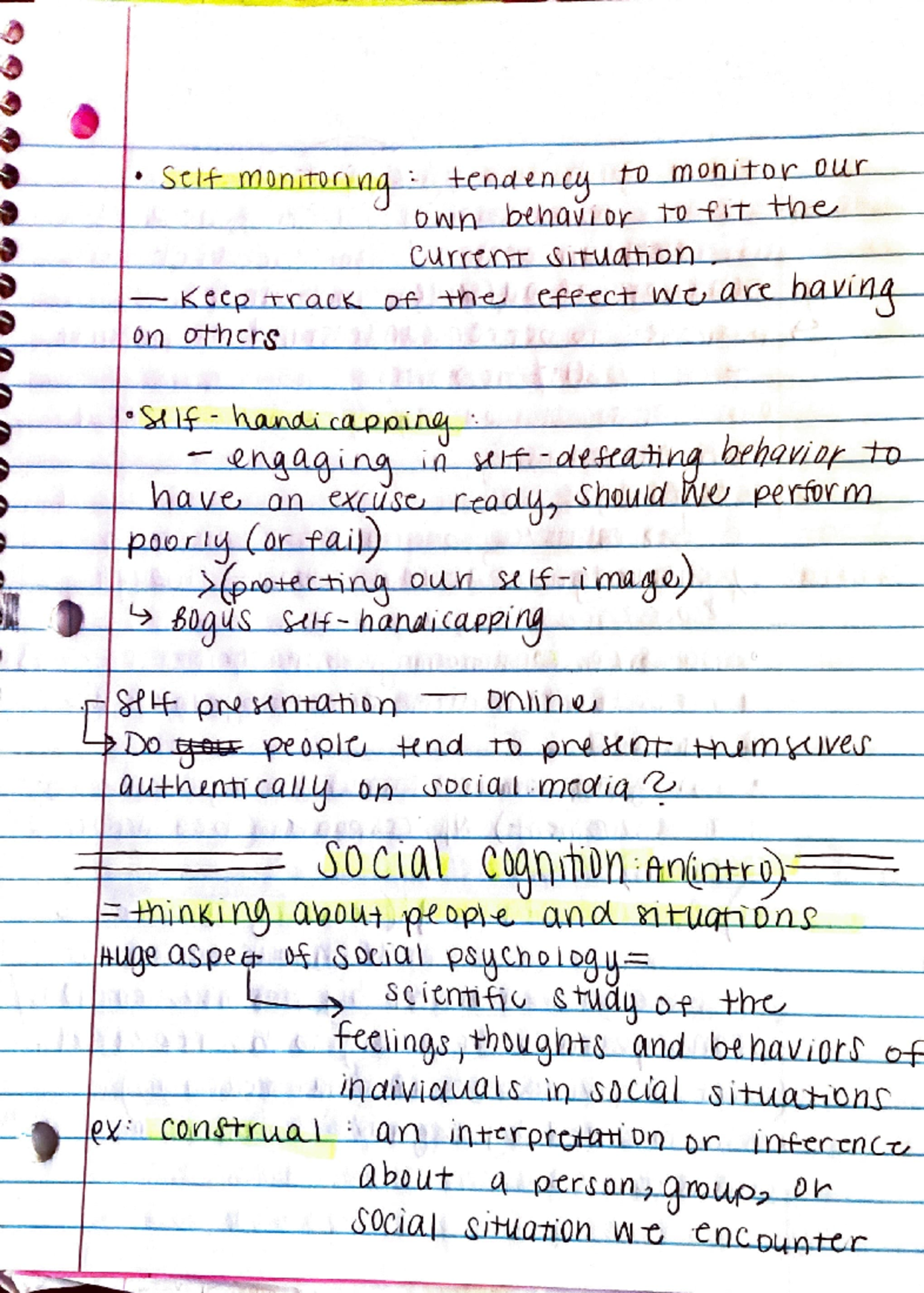 Schemas and assimilation - PSYC 310 - Studocu