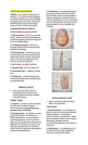 Vsepr origami - "Your Safer Source for Science Supplies" Publication No ...