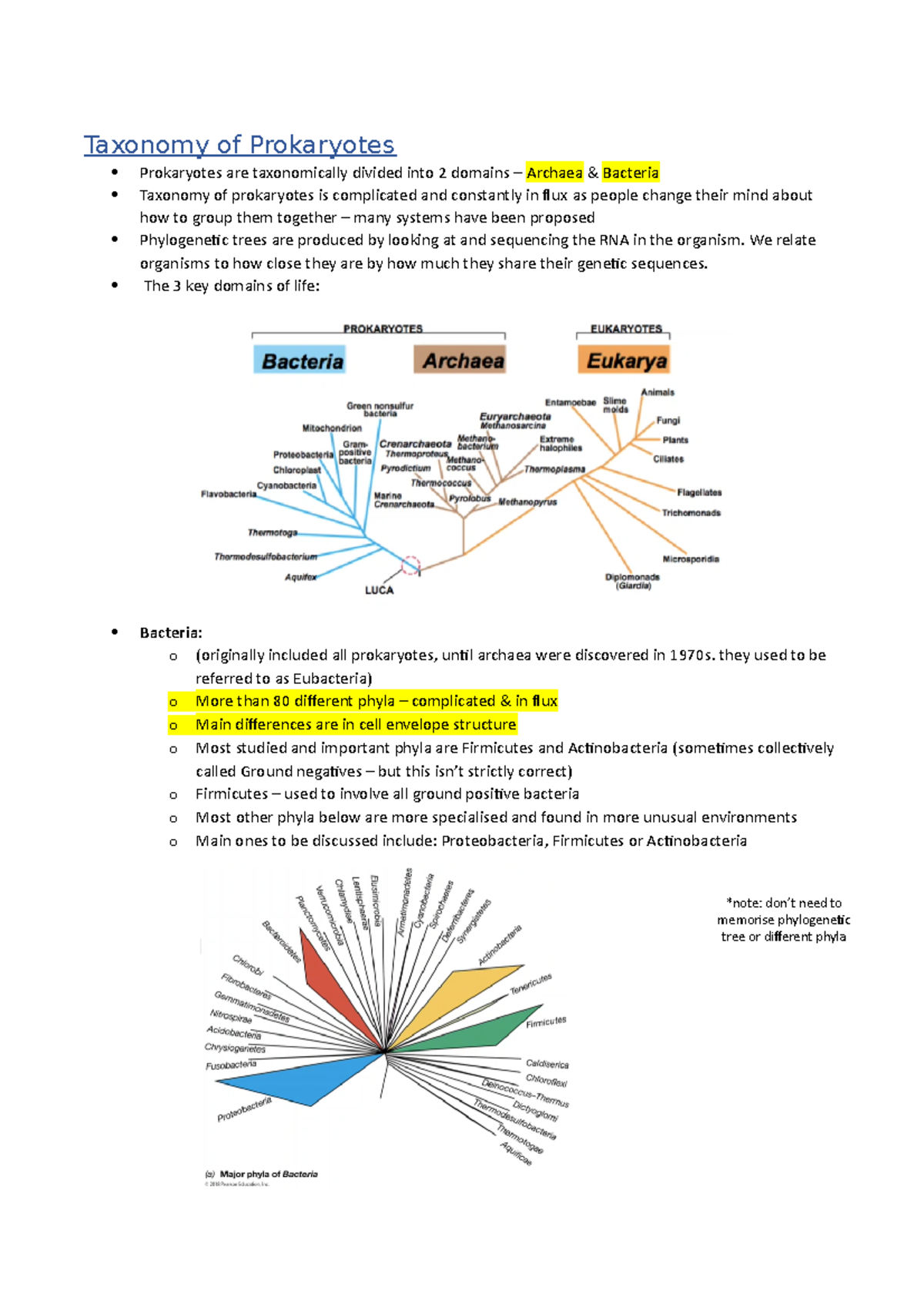 Prokaryotes - taxonomy, structure & function - Taxonomy of Prokaryotes ...