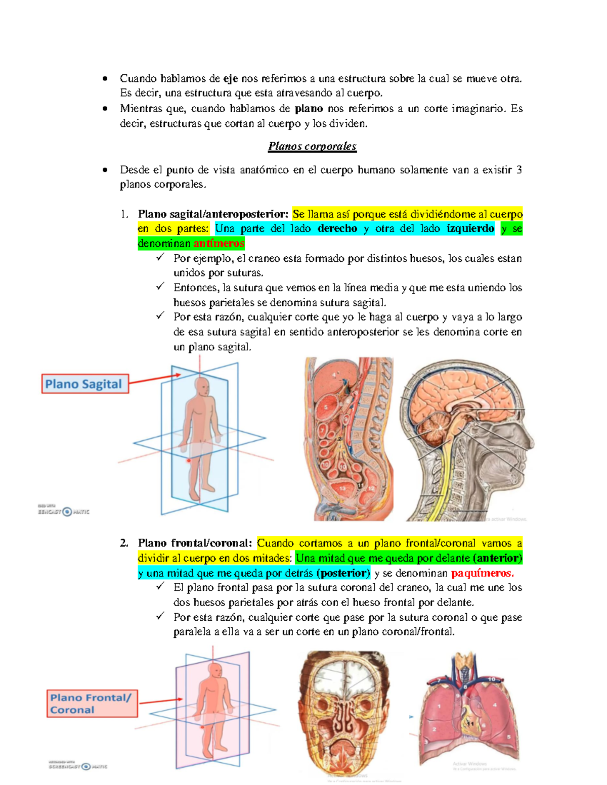 Planos y ejes corporales - Cuando hablamos de eje nos referimos a una ...