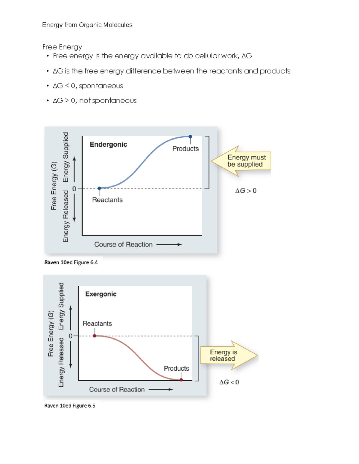 BIOL 1105 Lessons 7-12 Review - Free Energy - Free energy is the energy ...