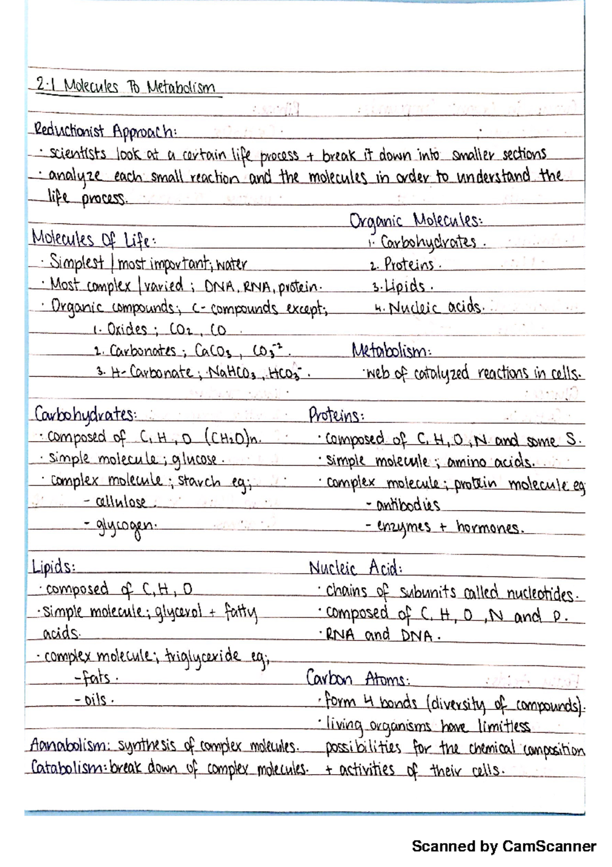IB Biology HL Chapter 2 Condensed - 2 Molecules To Metabolism ...