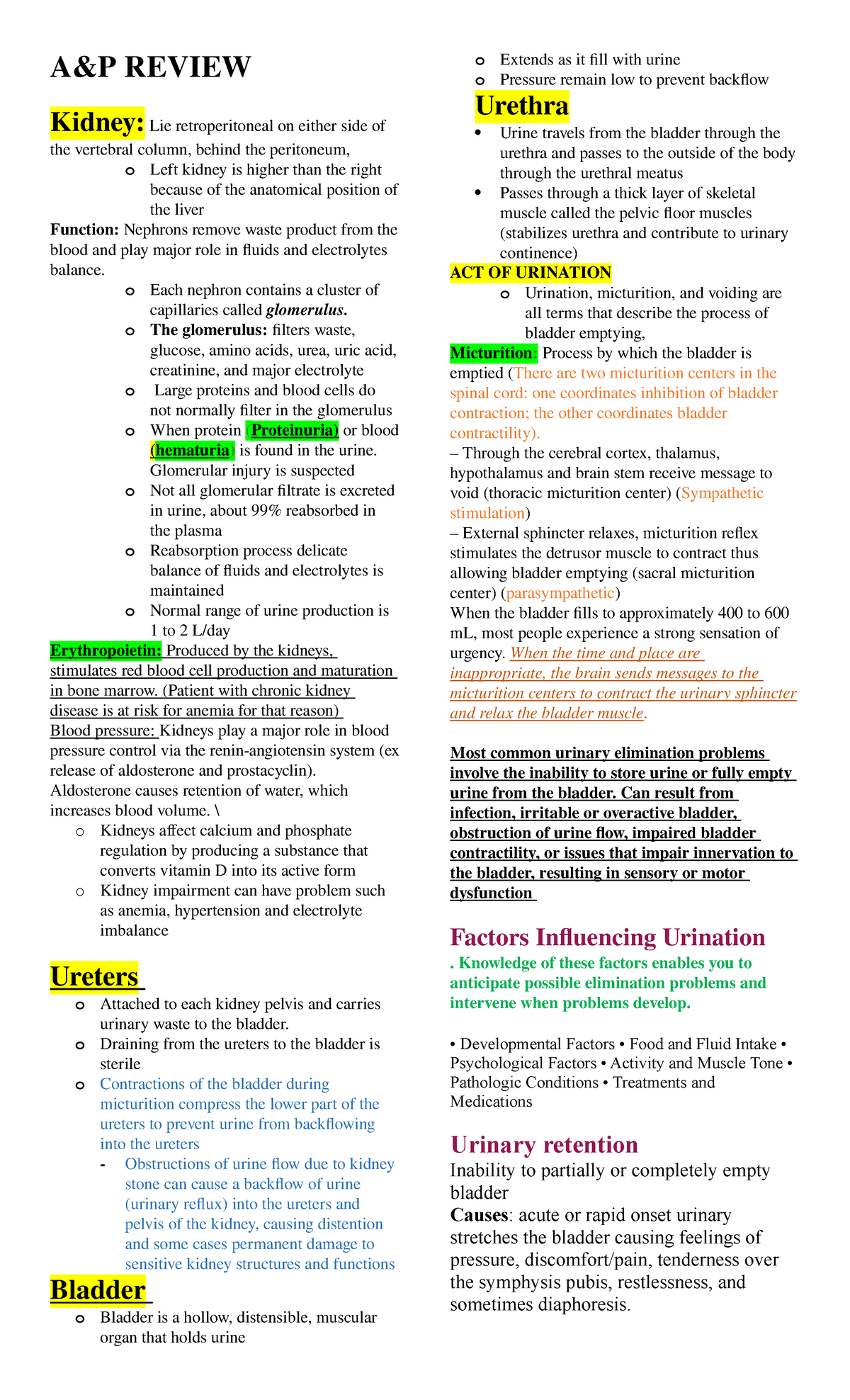 Urine - lecture notes and anatomy review on urinary - A&P REVIEW Kidney ...