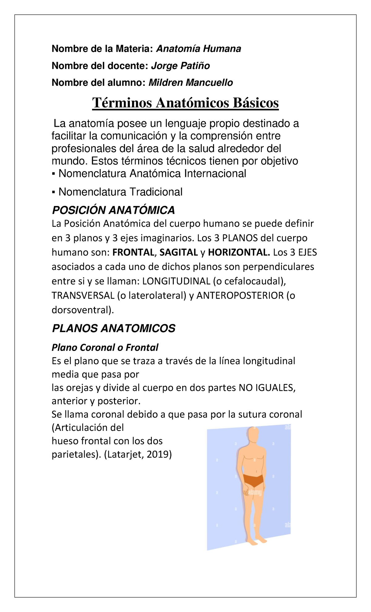 Anatomia terminos anatomicos - Nombre de la Materia: Anatomía Humana ...