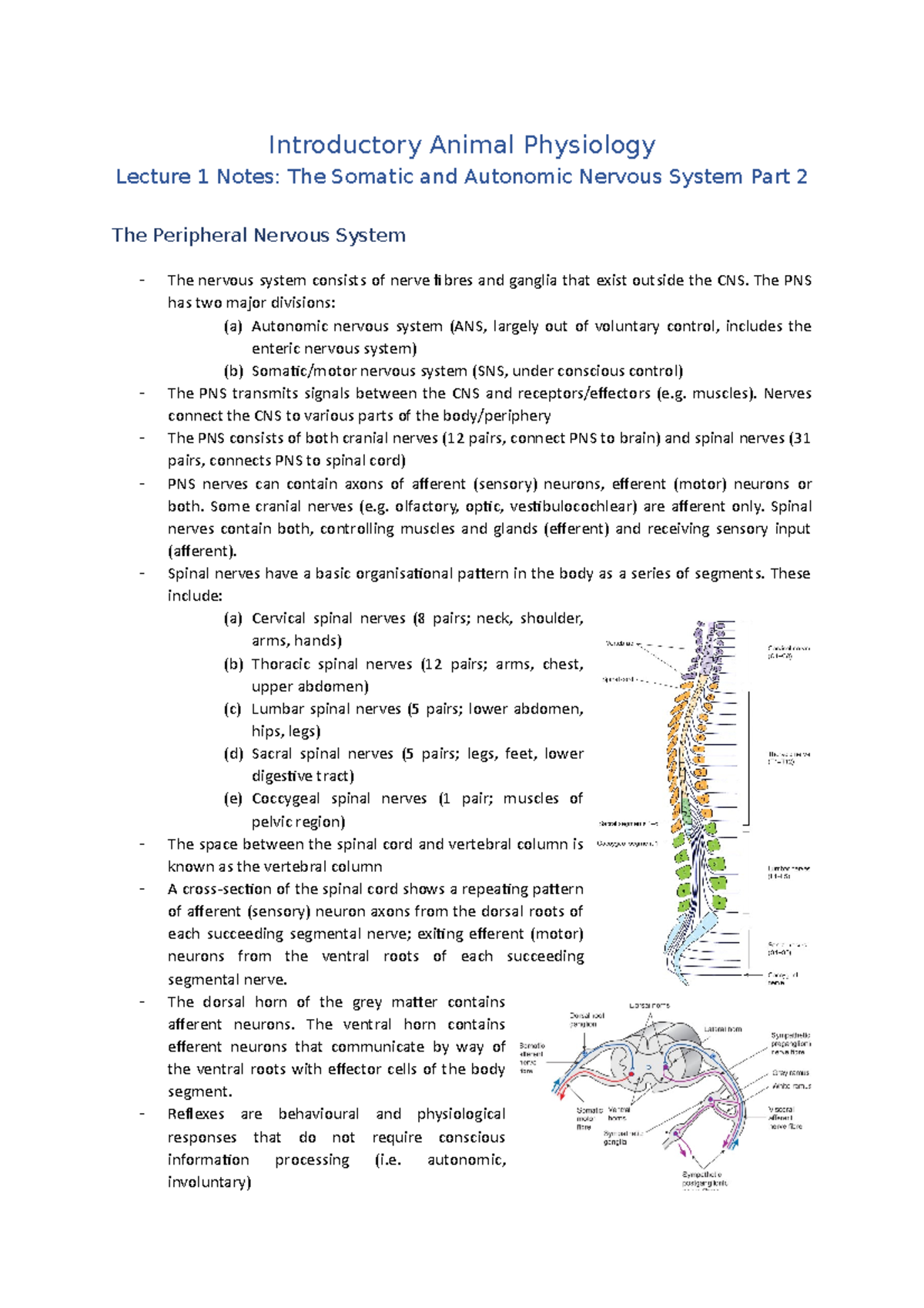 Lecture 1 Notes (The Somatic and Autonomic Nervous System Part 2 ...