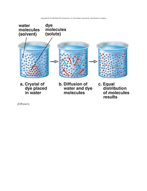 Human Bio Lab Various of Cell Structures and Diagrams - BIO 104 - Studocu