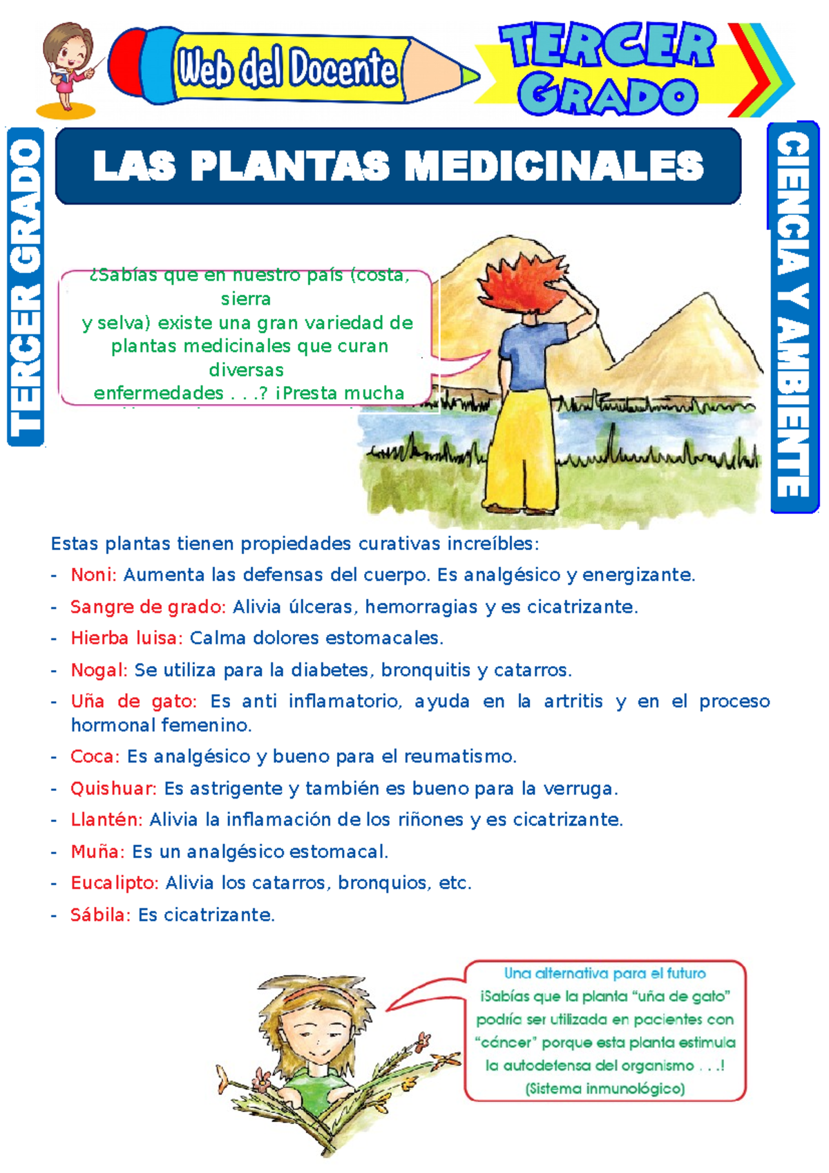 Las Plantas Medicinales para Tercer Grado de Primaria - Ciencia y ...